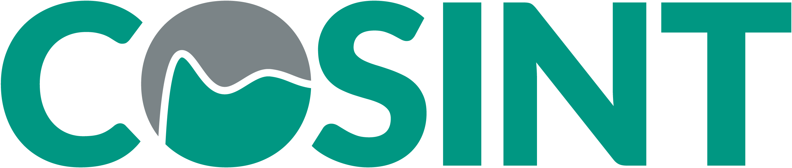 COSInt GmbH - Business Intelligence - STARTSEITE